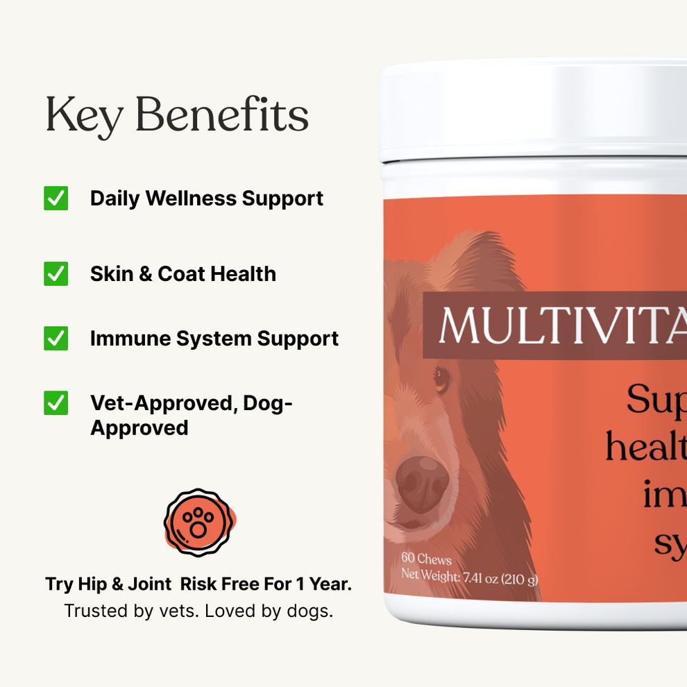 Multivitamin – Hound & Co
