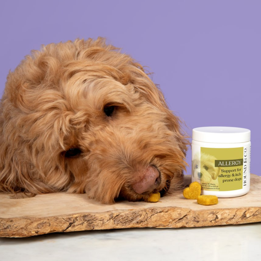 Vet Formulated Dog Supplements – Hound & Co