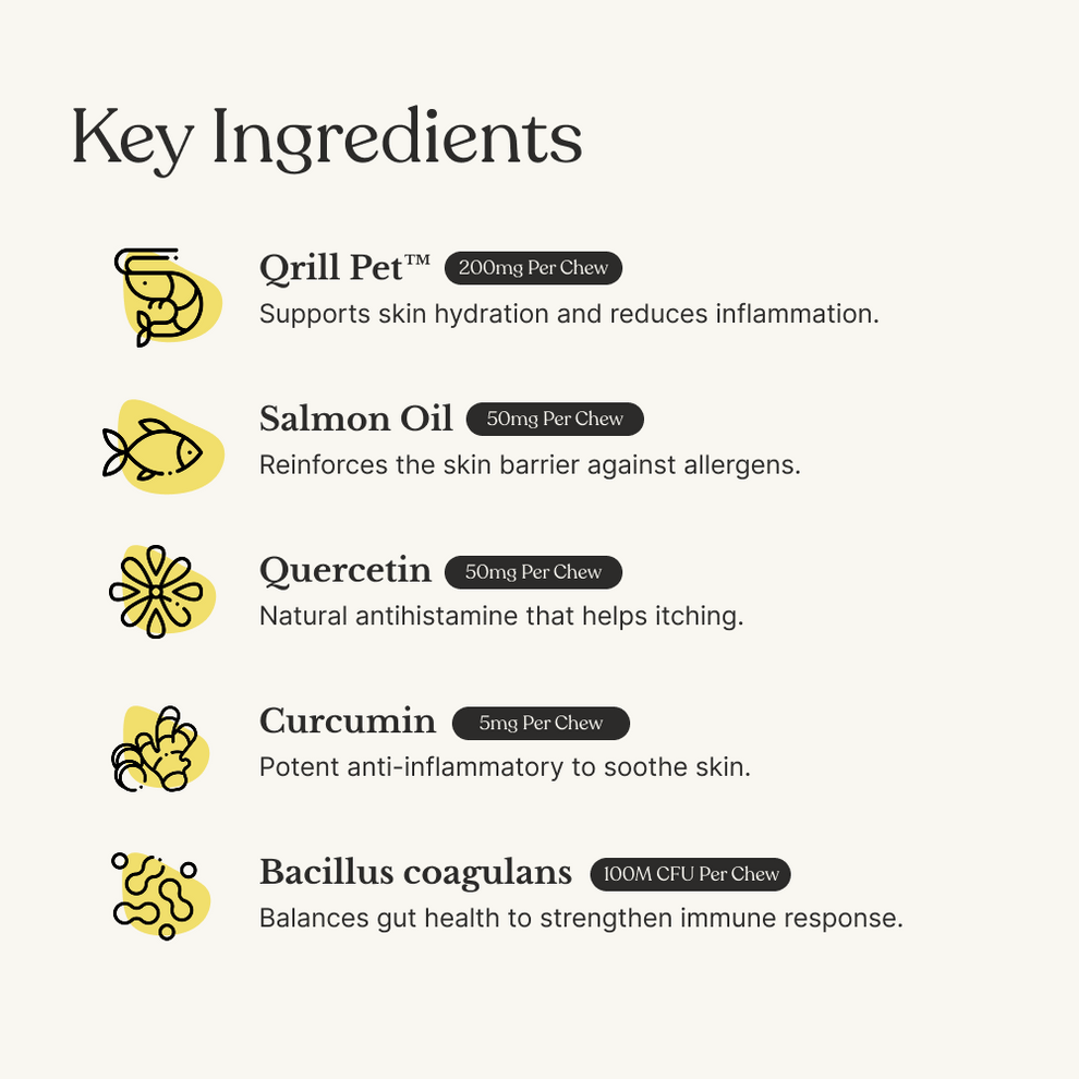 Allergy & Itch – Hound & Co